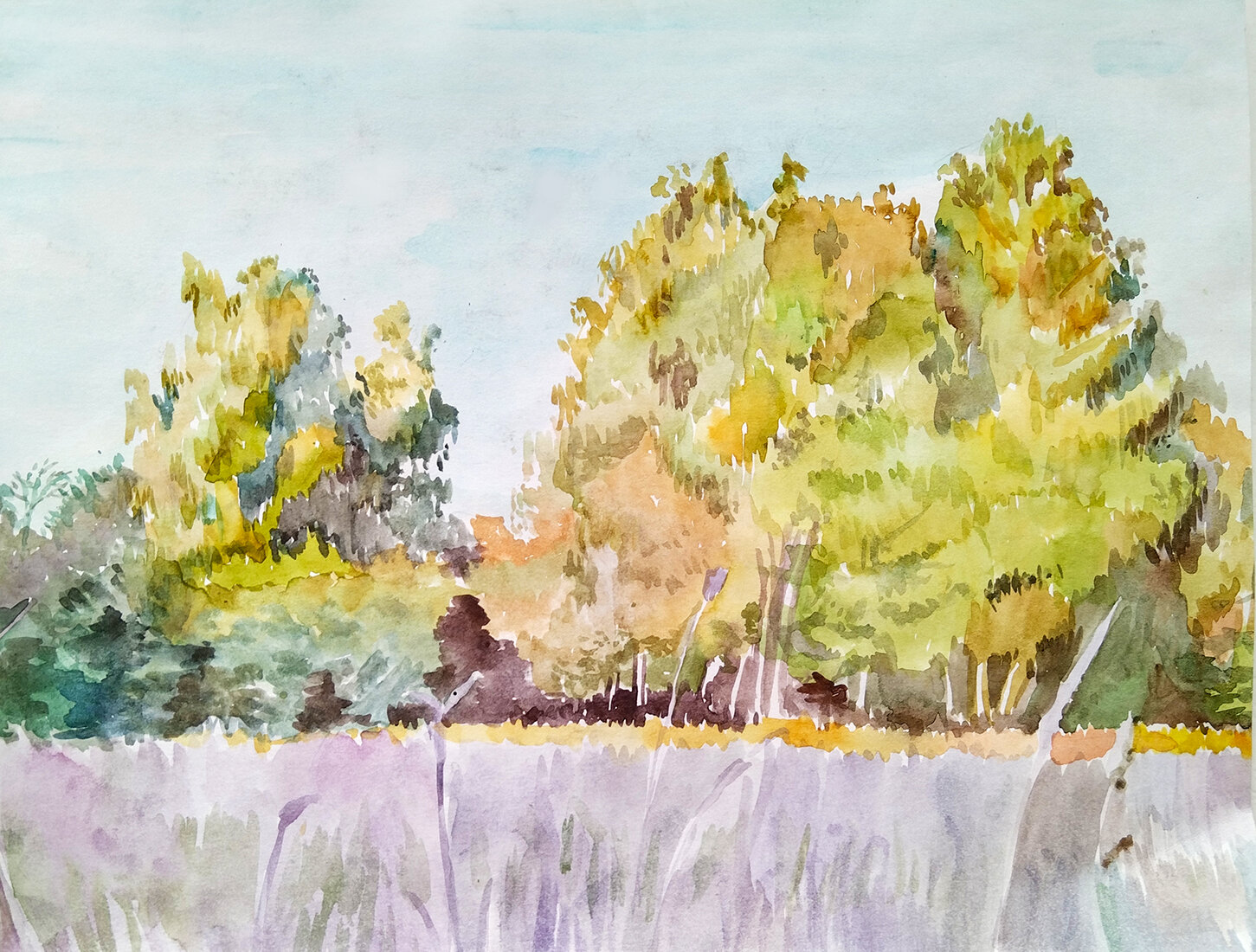 Картина акварелью "Природа"