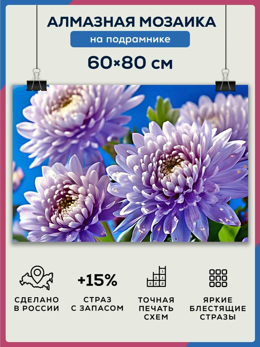 Алмазная мозаика 60x80 Астра летом на подрамнике