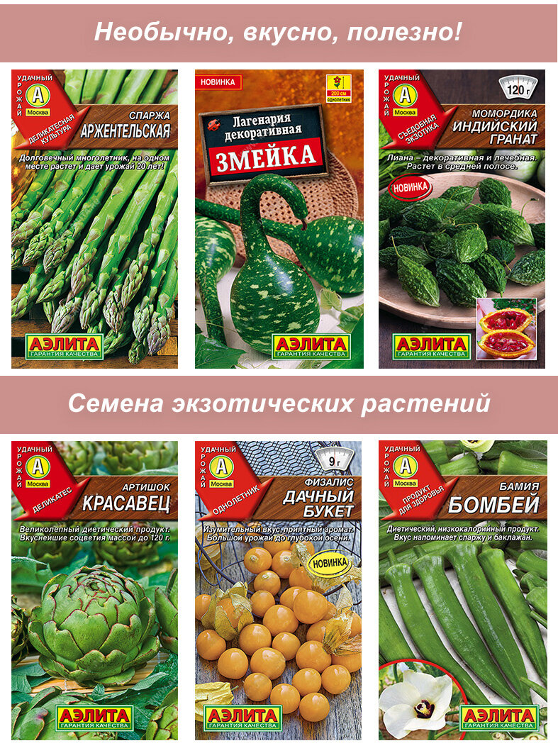 Семена экзотически овощей для дачи