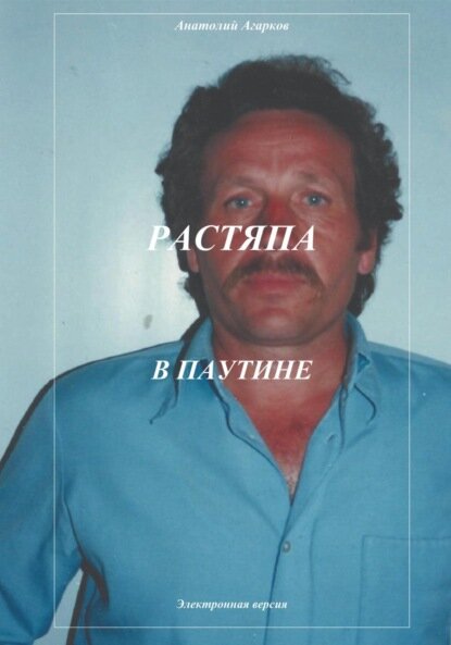 Растяпа. В паутине [Цифровая книга]