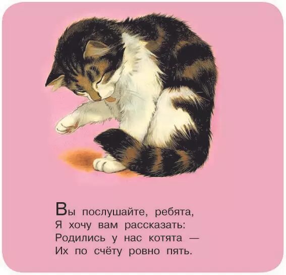 Котята — фото 1