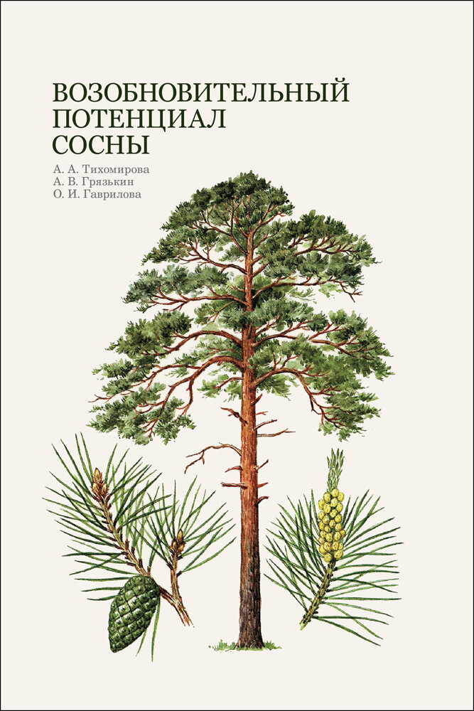 Тихомирова А. А. "Возобновительный потенциал сосны"