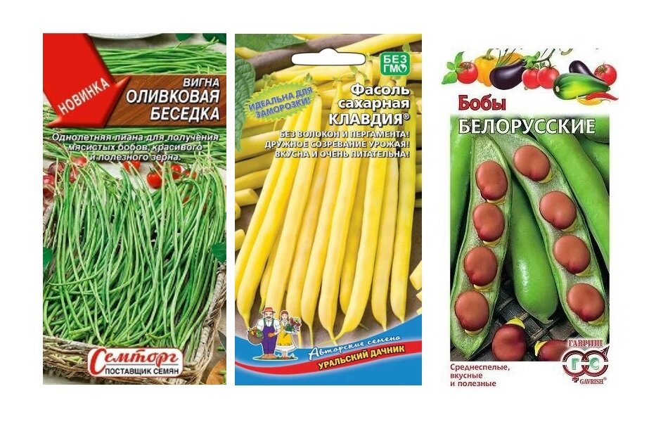 Набор семян До-ре-ми-фа-соль (Вигна Оливковая беседка, Фасоль сахарная Клавдия, Бобы Белорусские)