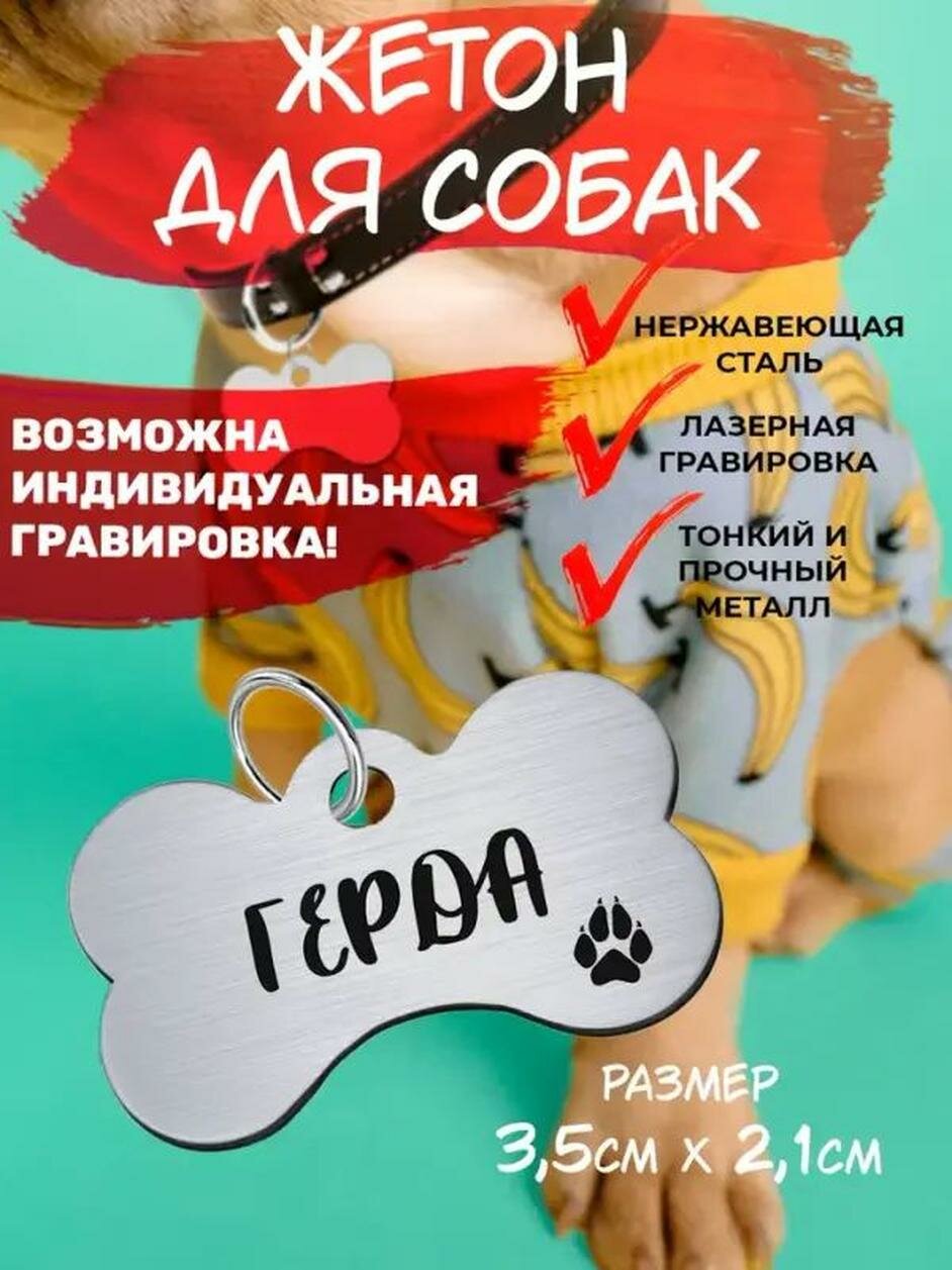 Адресник для собаки с гравировкой, нерж. сталь, серебристый, Герда