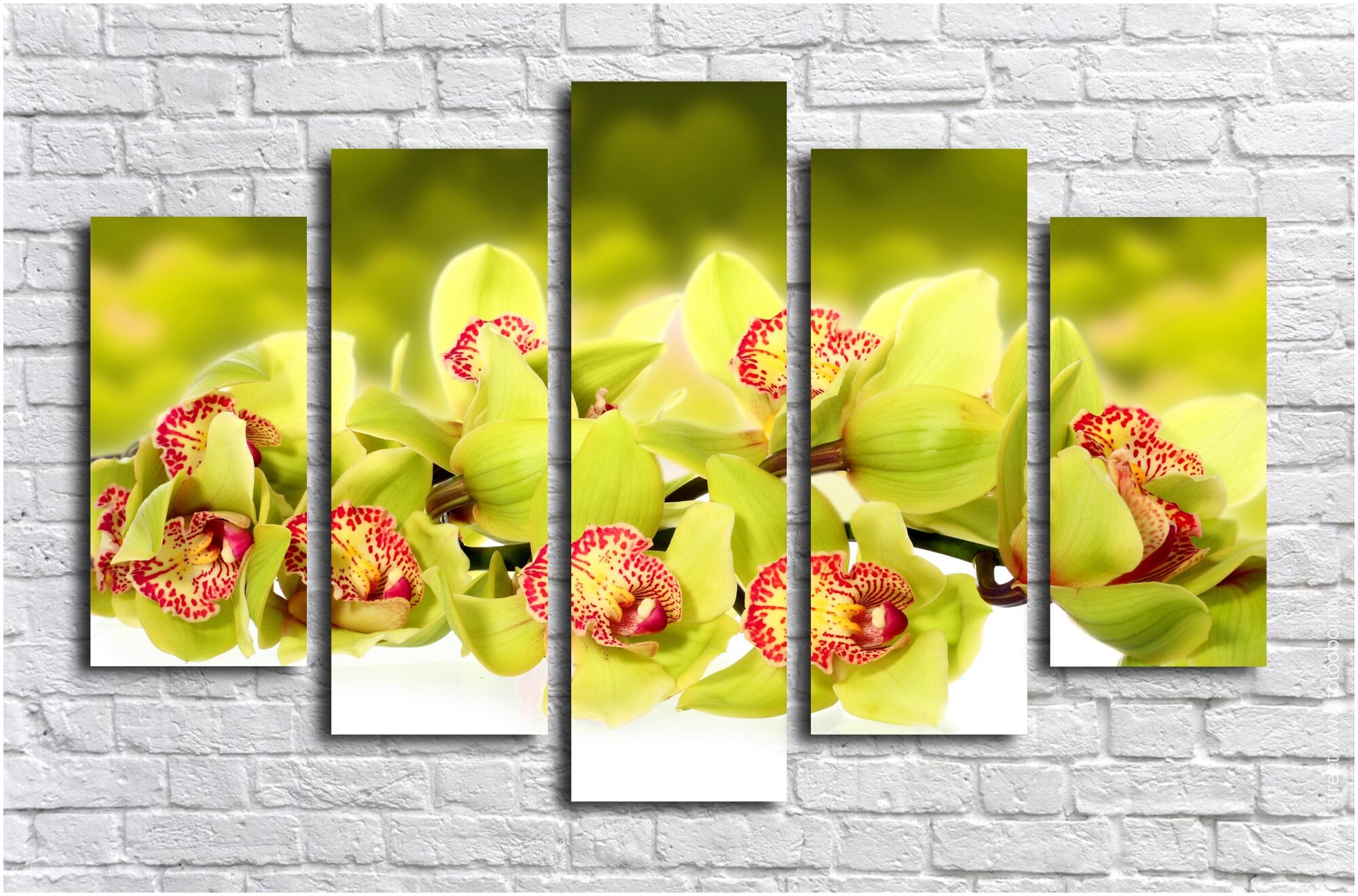 Модульная картина для интерьера / Картина на стену Зеленые орхидеи 140x80 см