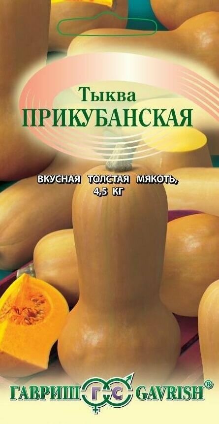 Тыква Прикубанская 2гр. (Гавриш)