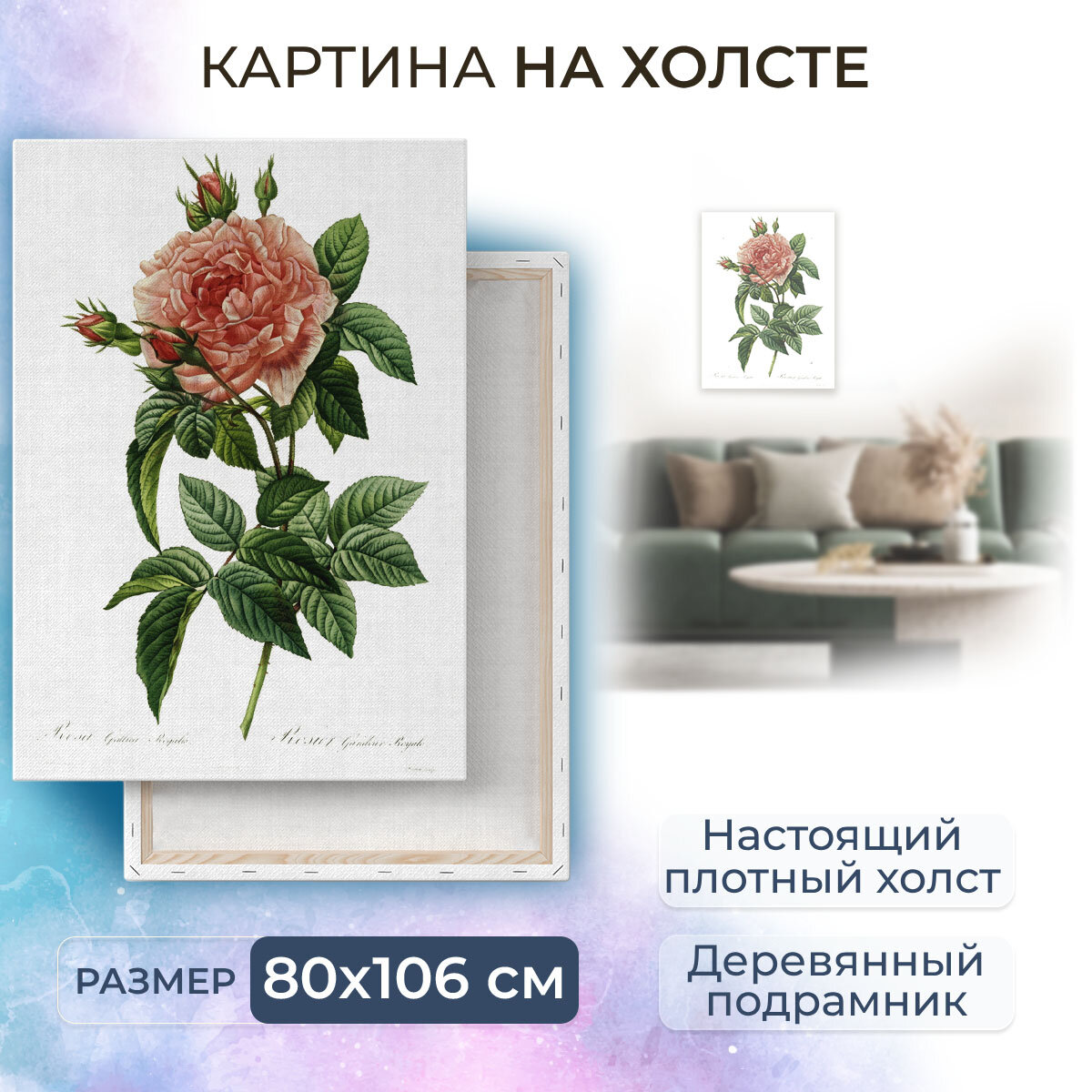 Картина на холсте, репродукция / Pierr - Joseph Redoute / Пьер-Жозеф Редуте / Размер 80 x 106 см