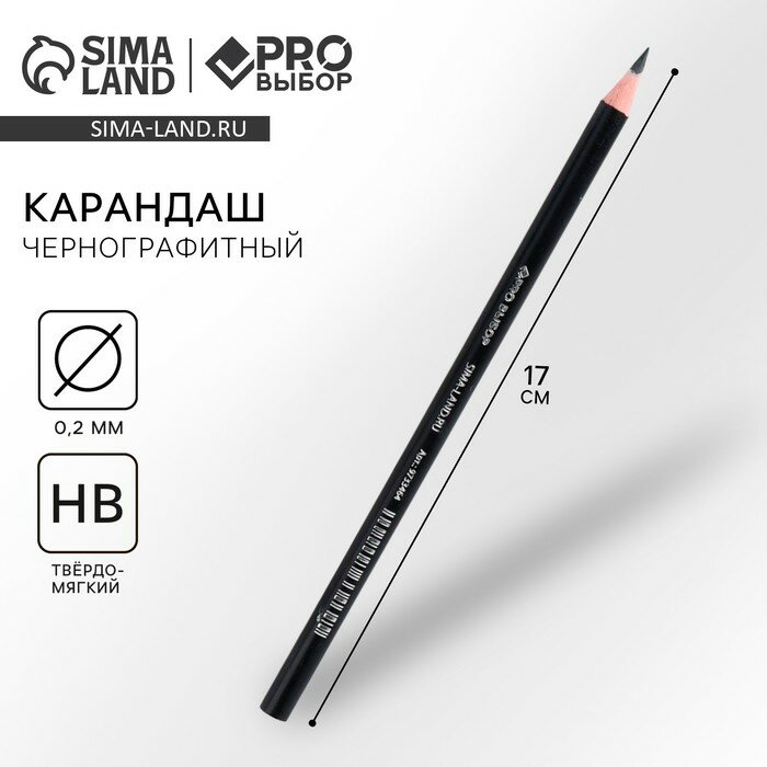 Карандаш простой чернографитный НВ PROвыбор Черный неон, 144 шт.