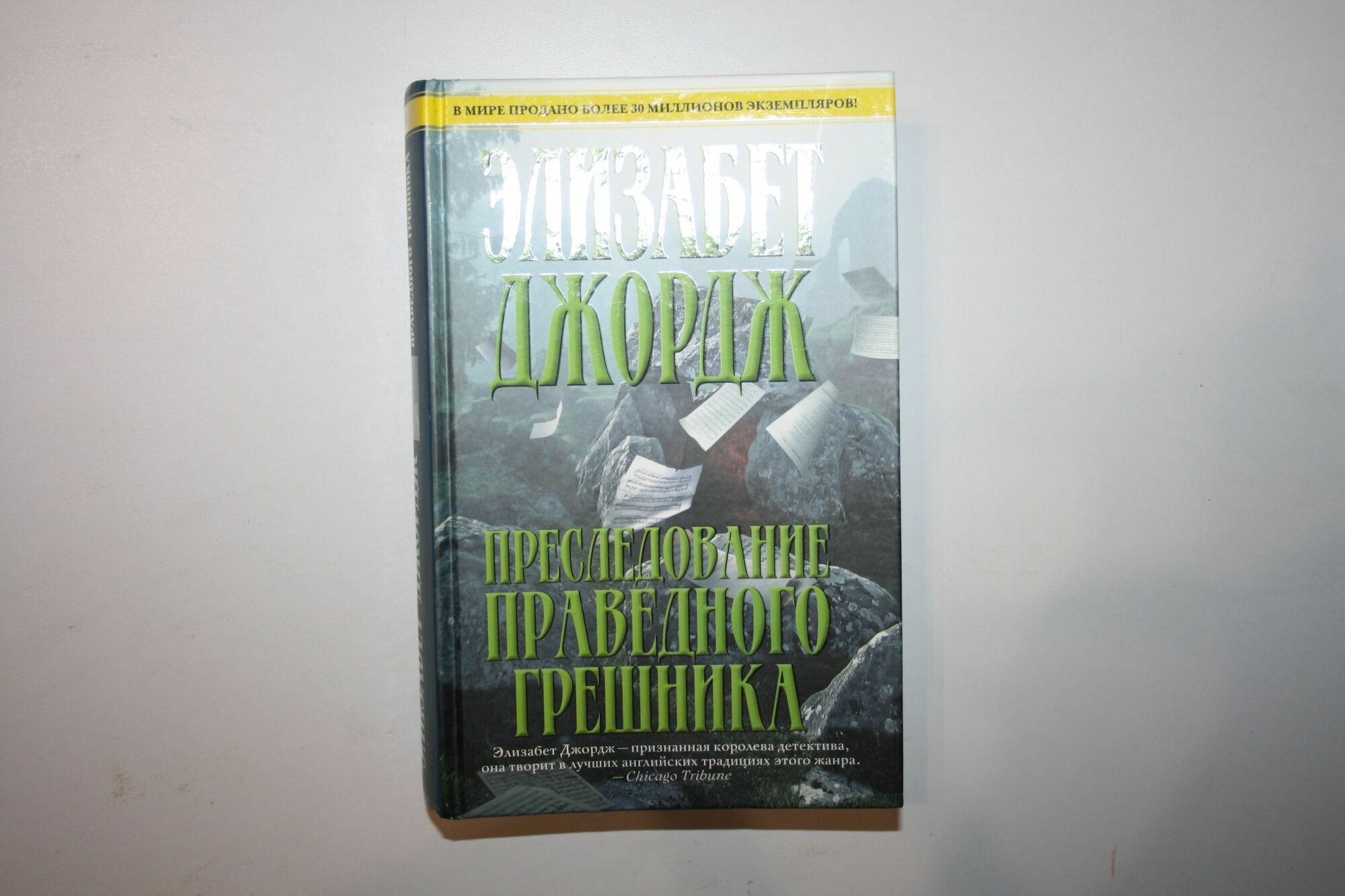 Преследование праведного грешника. Роман