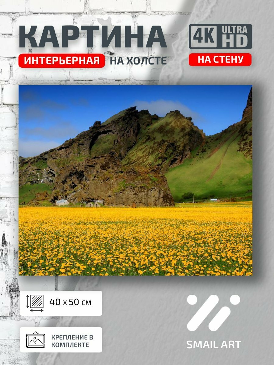 Картина на холсте интерьерная 40 на 50 на стену Горой Landscape для гостиной пейзаж декор
