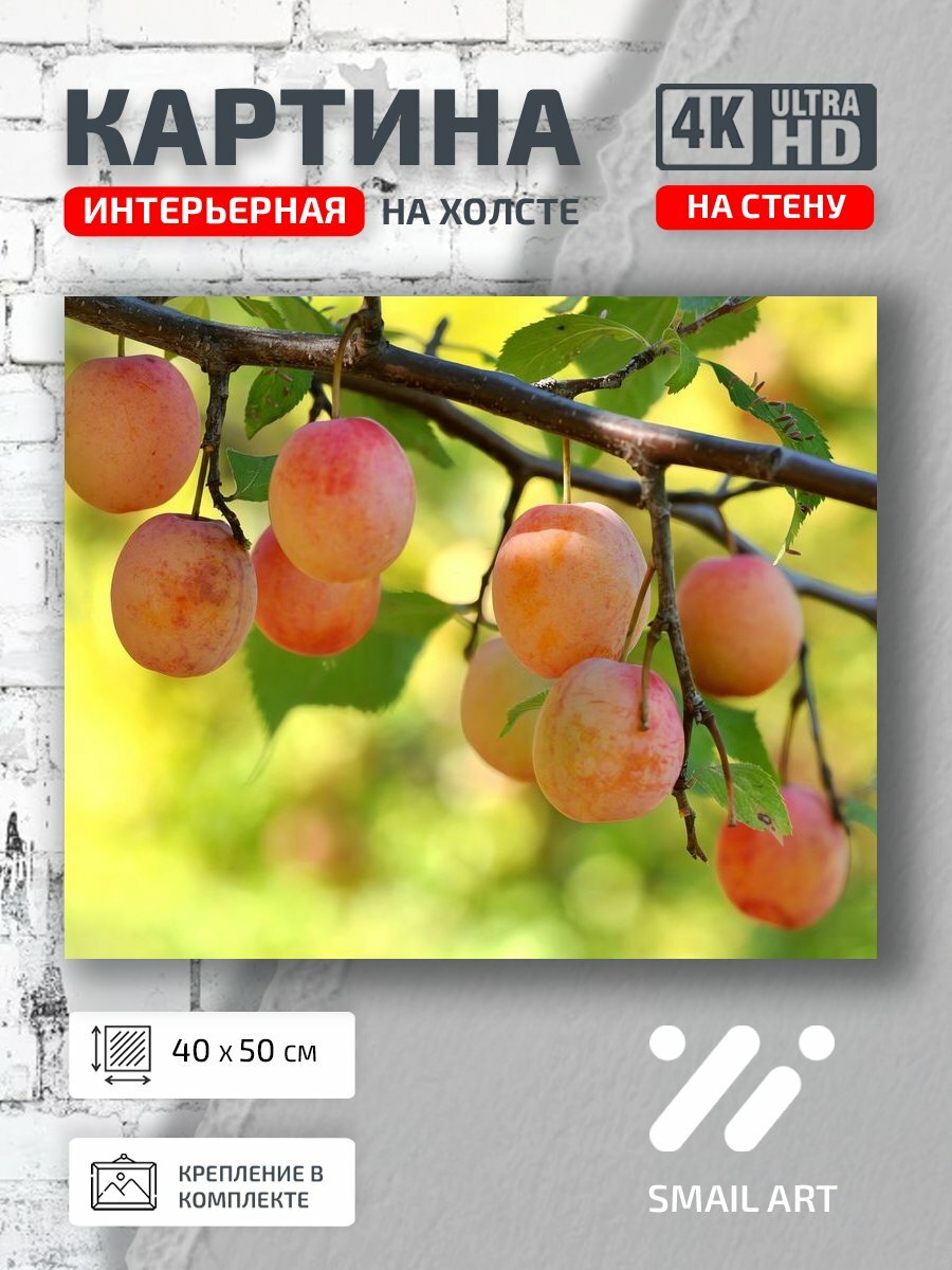 Картина на холсте интерьерная 40 на 50 на стену Ветка Landscape для офиса пейзаж интерьер