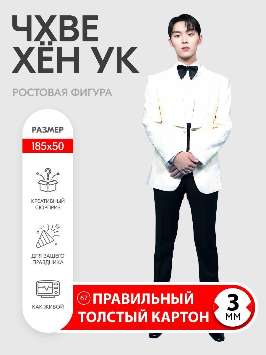 Аксессуар для фотосессий, Indoor-ad, Чхве Хён Ук ростовая фигура