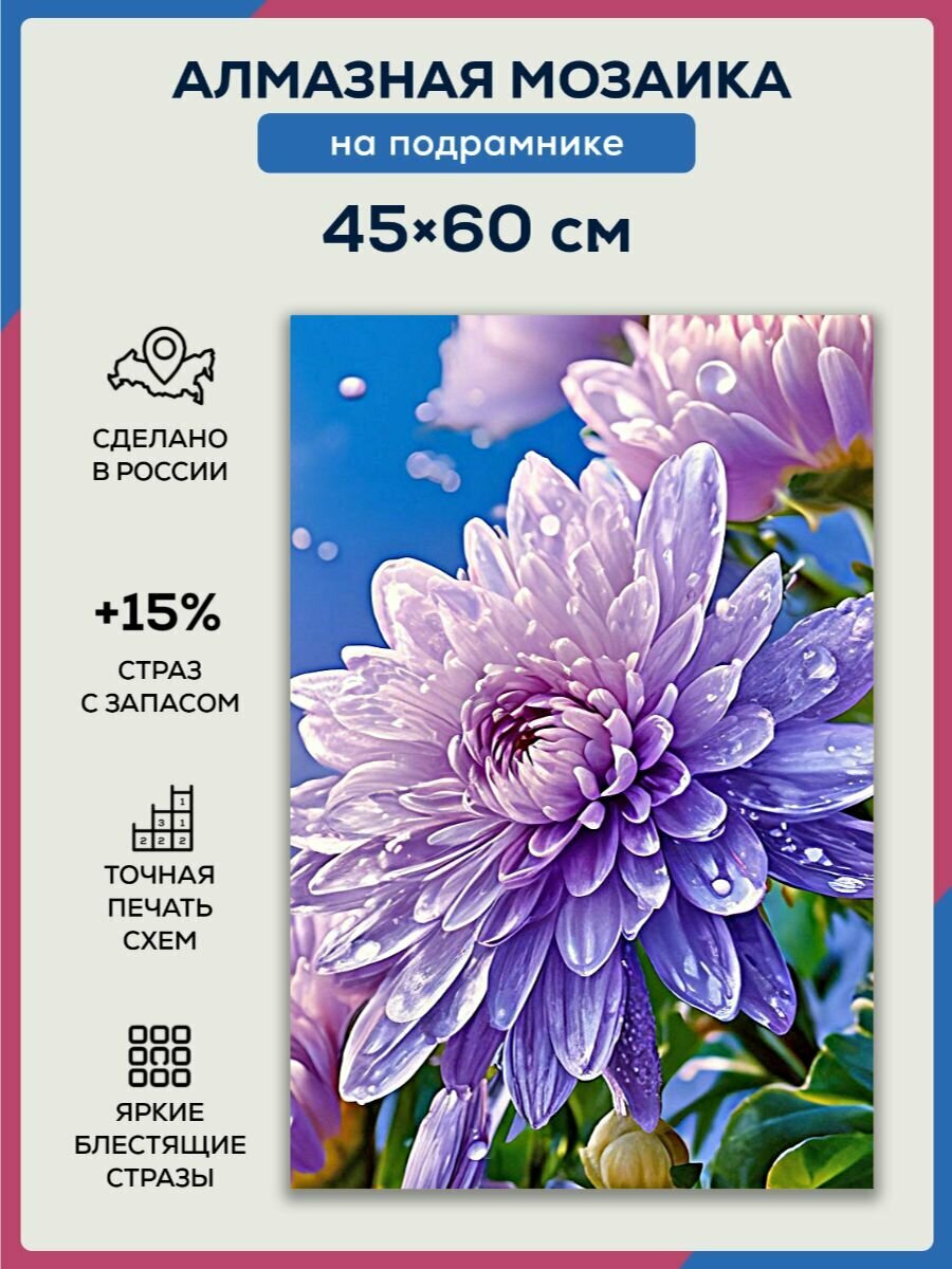 Алмазная мозаика 45x60 Цветок астра на подрамнике