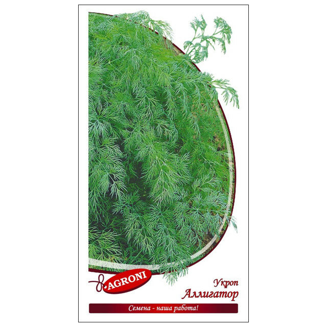 Семена укропа Аллигатор агрони 2г - ранний посев, ароматная зелень, для дома