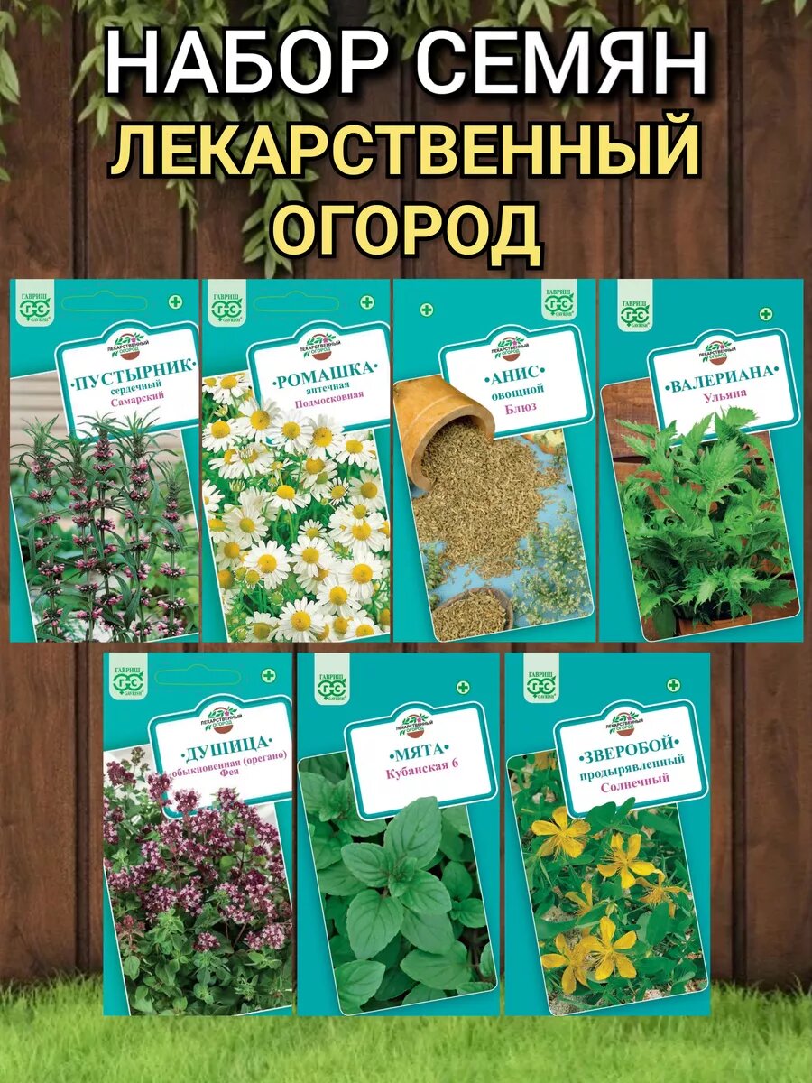 Семена лекарственных трав Гавриш: Пустырник, Мята, Ромашка, Анис, Валерияна, Душица, Зверобой