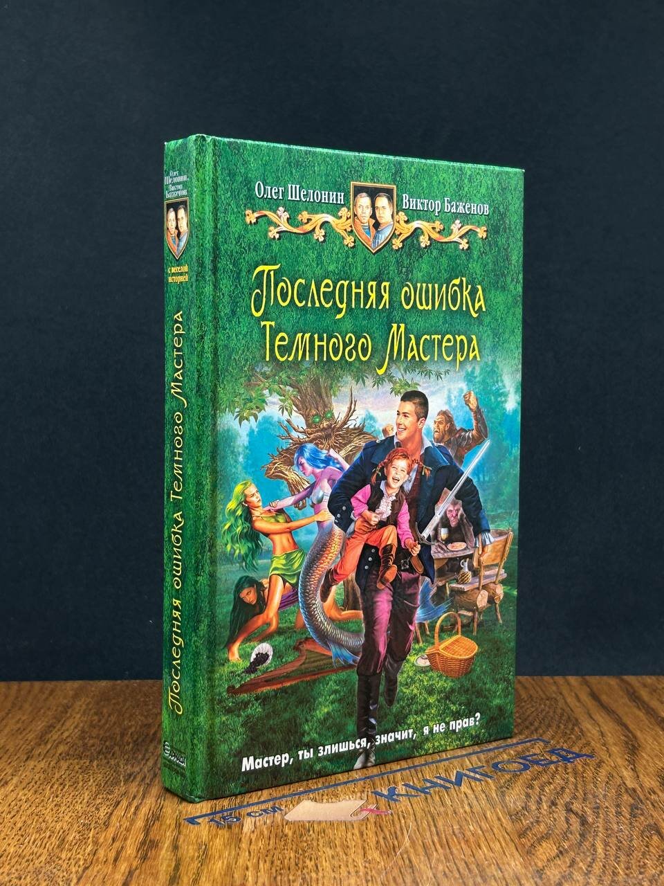 Книга. Последняя ошибка Темного Мастера 2012 (2041425195849)