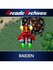 Arcade Archives RAIDEN PS4 & PS5