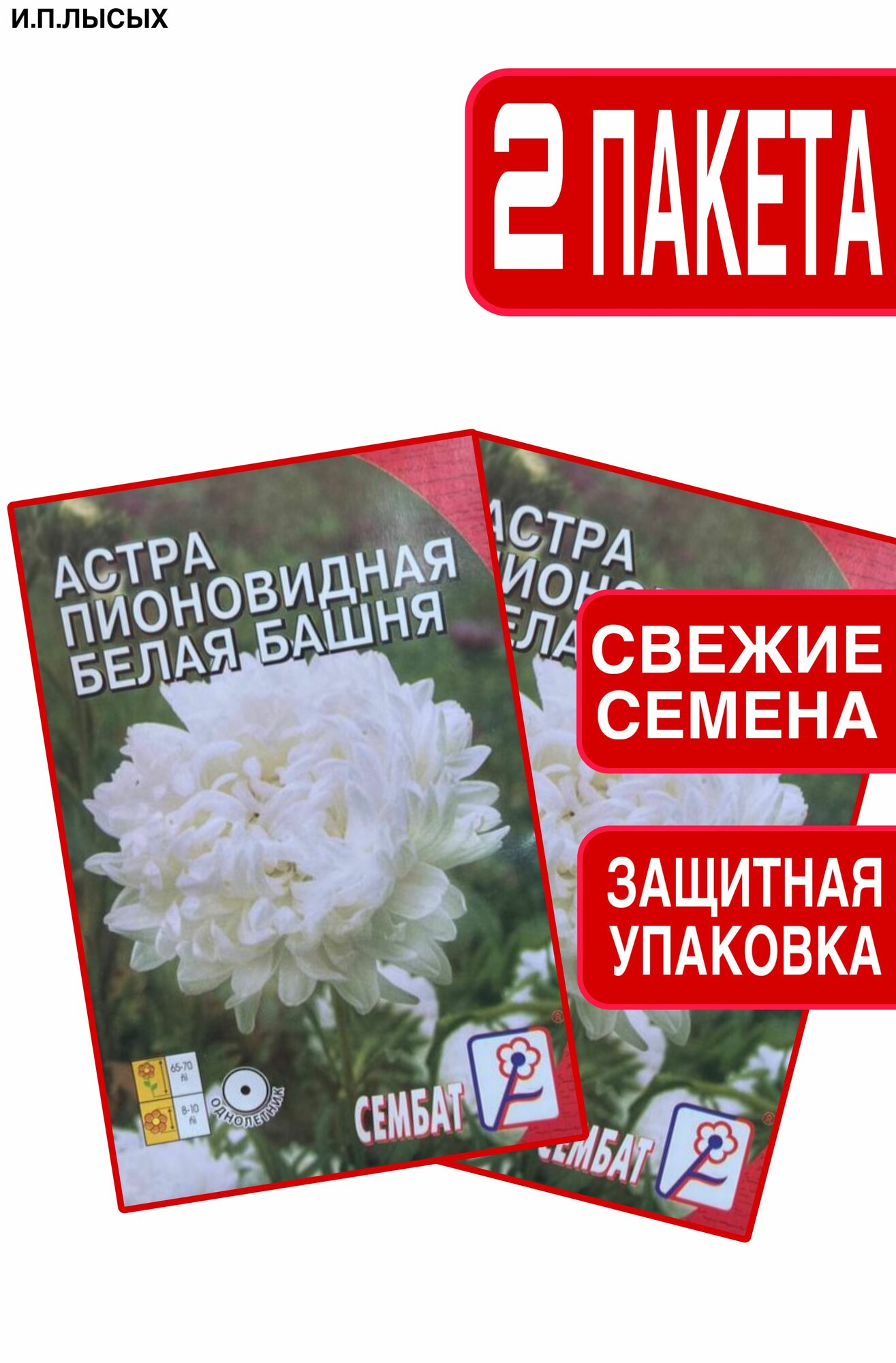 Семена цветов Астра пионовидная белая башня