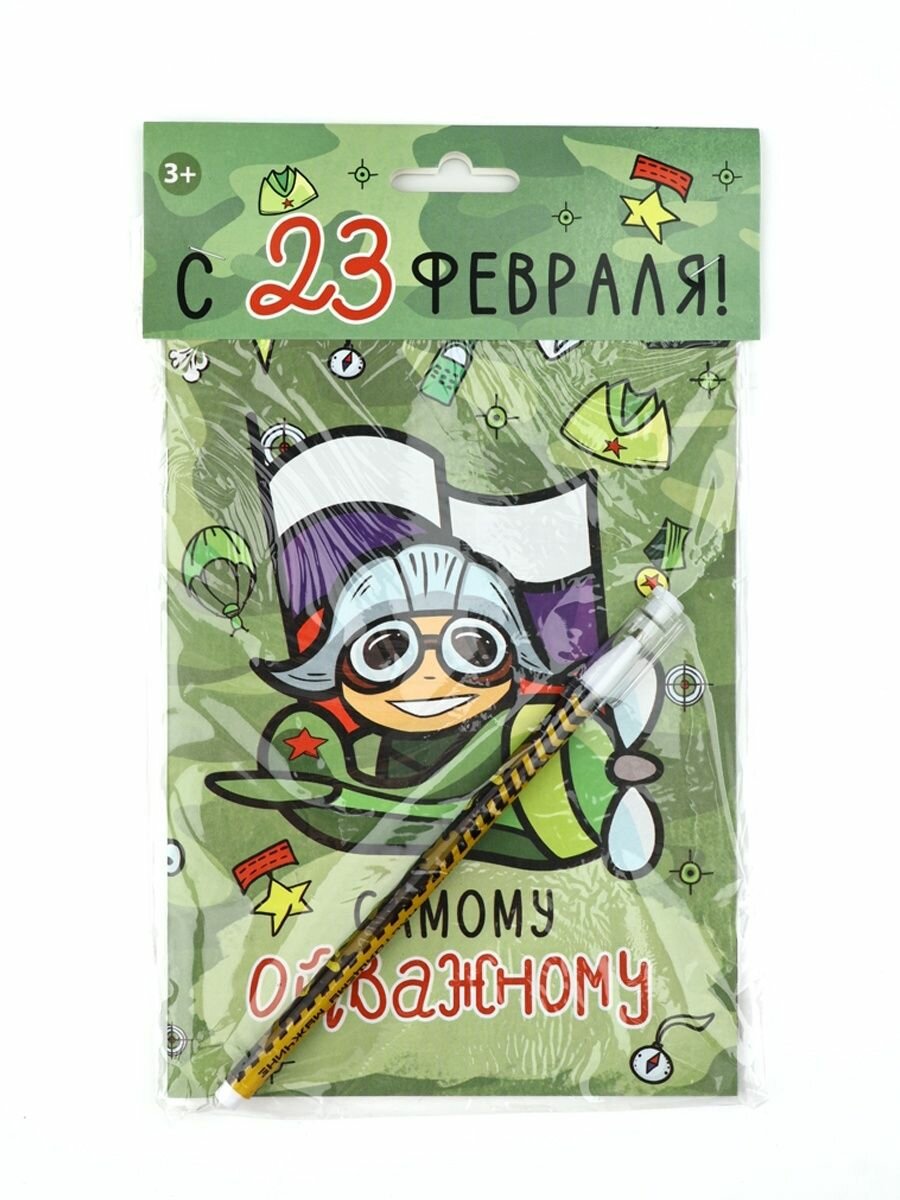 Анкета для мальчиков и ручка "23 февраля! Пилот"