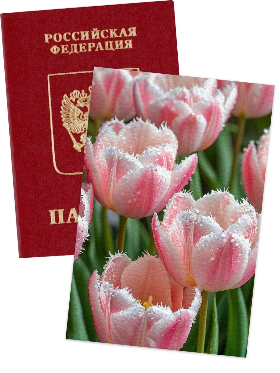 Обложка для паспорта