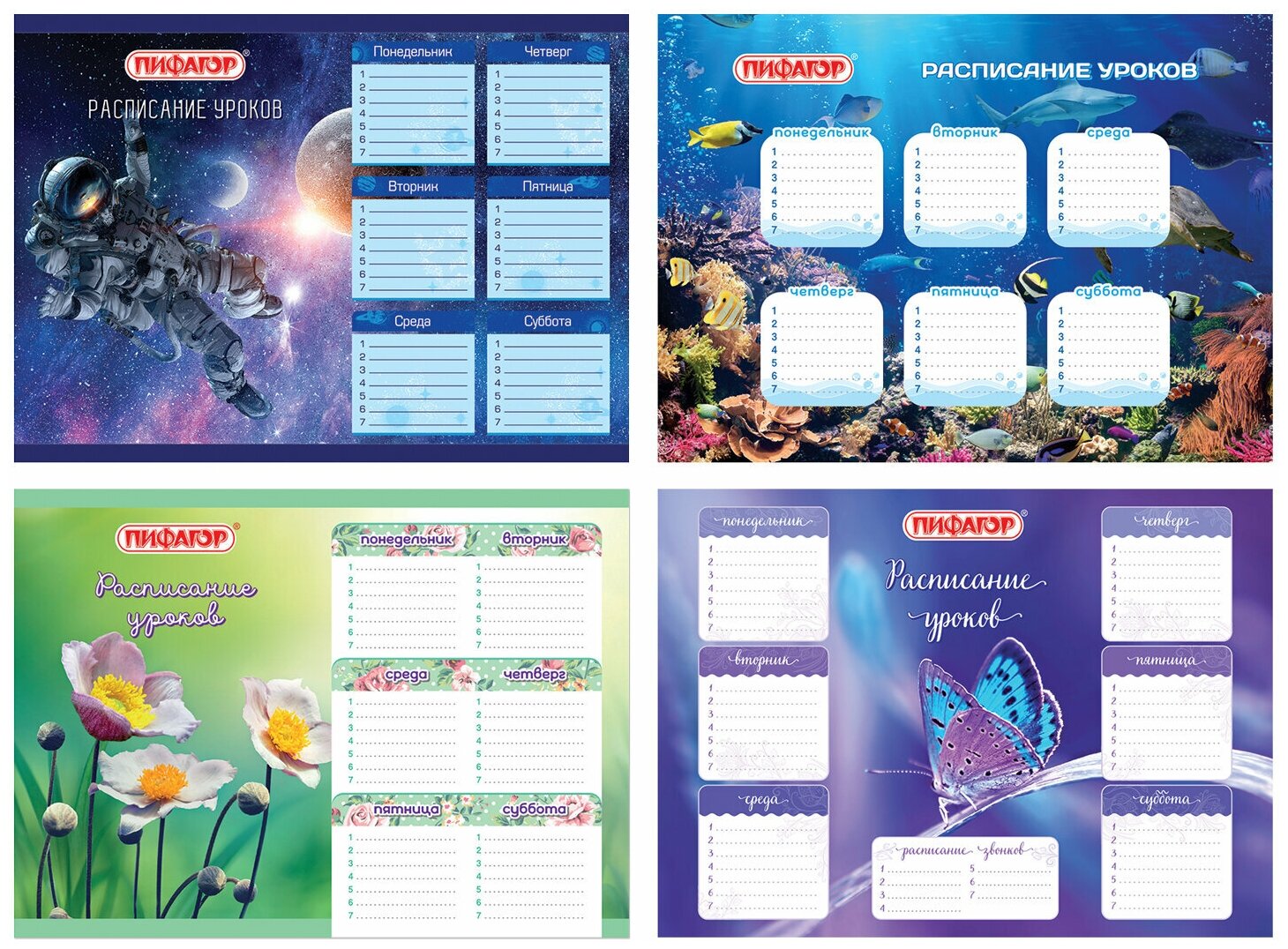 Расписание уроков и звонков А4, пифагор, «Окружающий мир», ассорти (4 вида), бумага 150 г/ м 2 , 111659