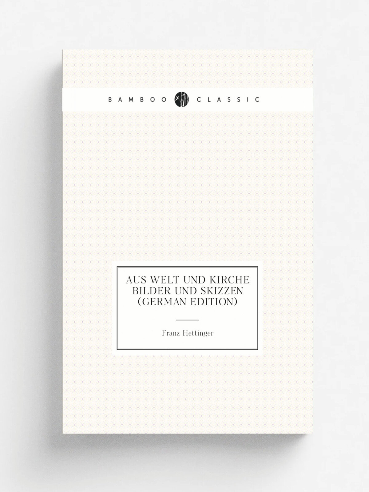 Aus Welt und Kirche Bilder und Skizzen (German Edition) | Franz Hettinger | Репринт