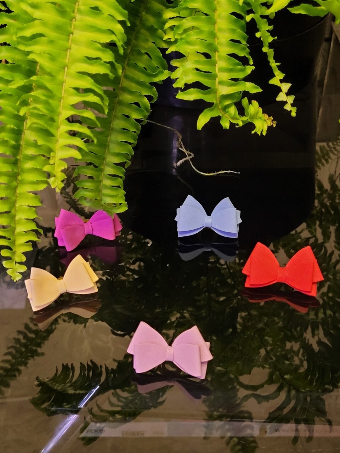 Бантики для собак.