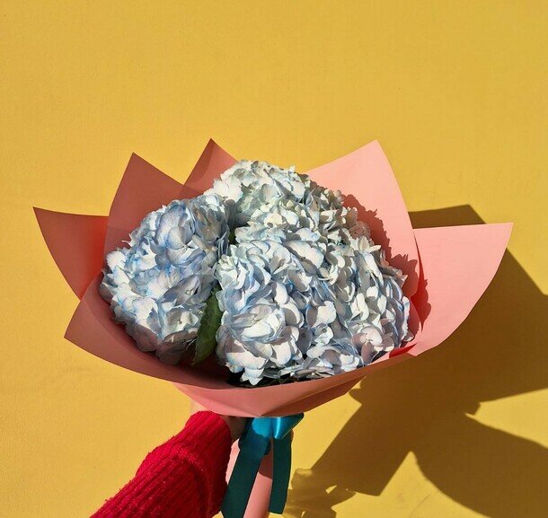 Букет Well Flowers, гортензии, круглый, высота 50 см, XL, 3 шт, букет свежих цветов