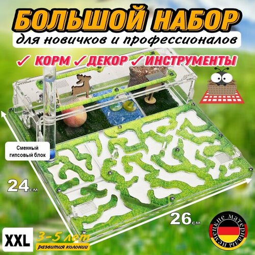 Большая муравьиная ферма Лето XXL Люкс 26х24 — купить в интернет ...