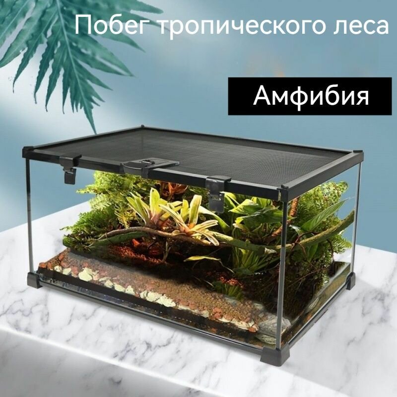 Стеклянный ящик для разведения пауков в базовой комплектации (без пауков)