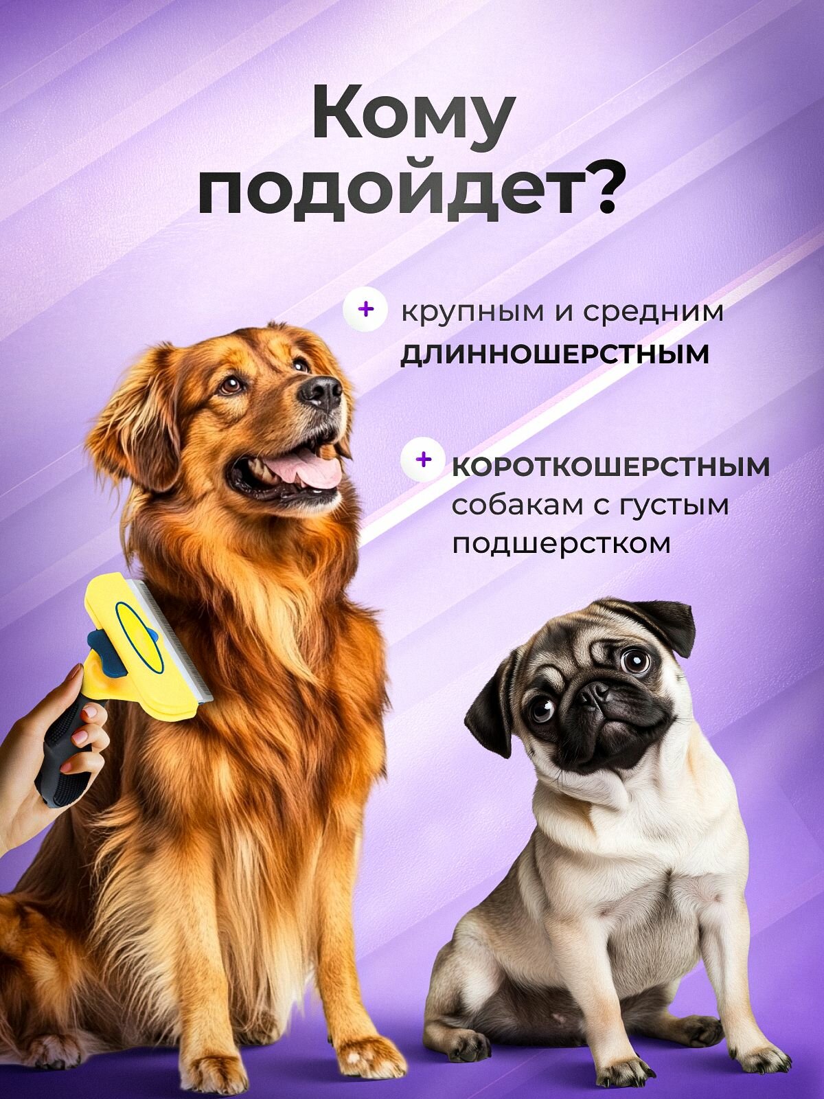 Дешеддер — фото 1