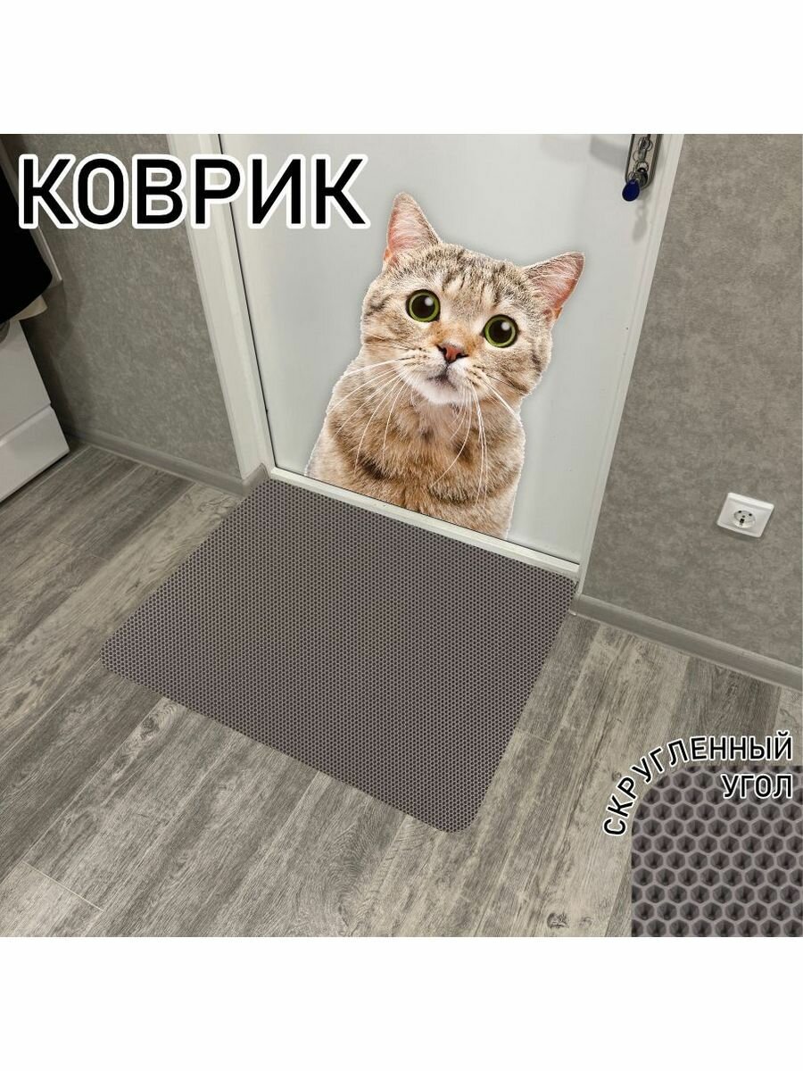 Коврик придверный в прихожую эва eva 80х40