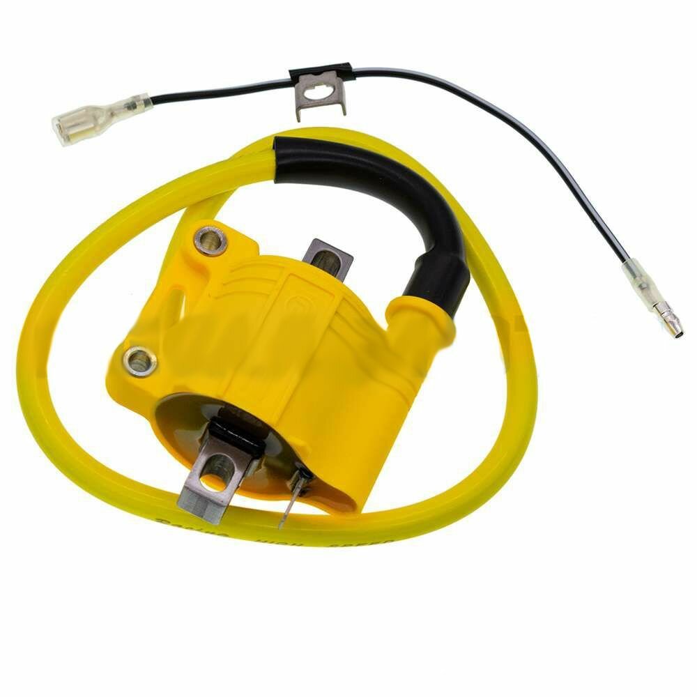 Катушка зажигания NIBBI 2T, 4T для Kayo, Avantis, BSE, Regulmoto "L"