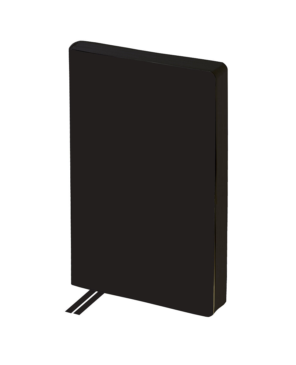 Ежедневник Bruno Visconti недатированный А5 (142 х 212 мм) "MEGAPOLIS NAPPA FLEX" (черный)