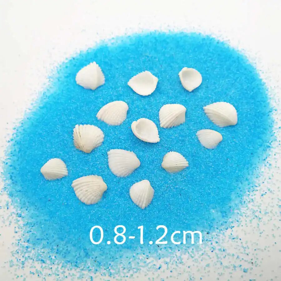 Ракушки морские, 0.8-1.2см, shell, для декора