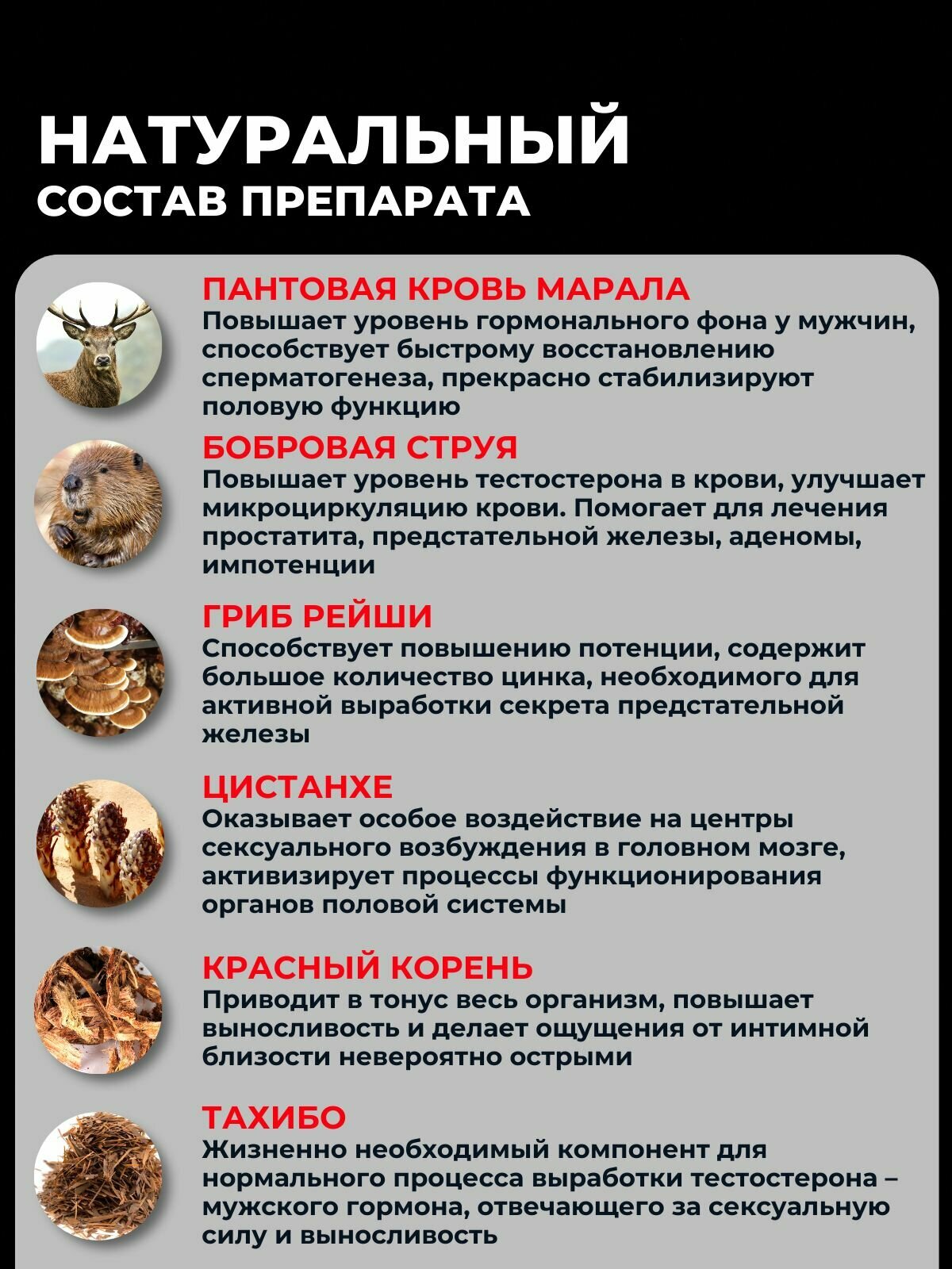 Эректо Форте / Алтайский препарат возбудитель для мужчин афродизиак для потенции и эрекции средство для эрекции повышение потенции мужской стимулятор