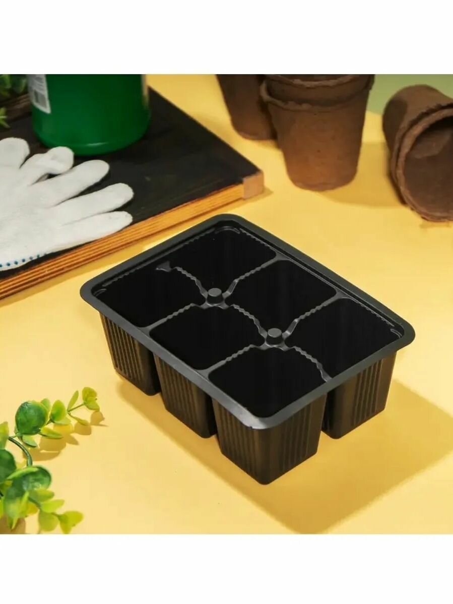 Мини-кассета для рассады, 6 ячеек