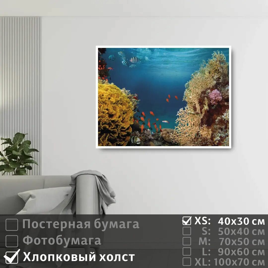 Постер на холсте Морские Рыбки В Коралловых Рифах 40х30 см ПолиЦентр