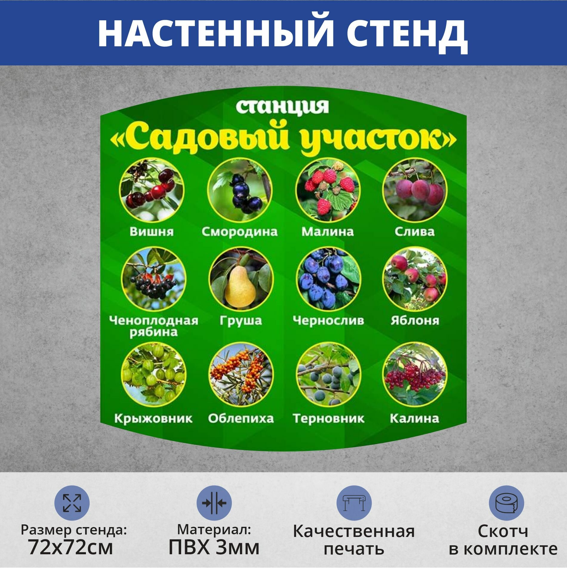 Информационный стенд настенный для садика "Станция Садовый участок" (Большой размер 720х720мм)