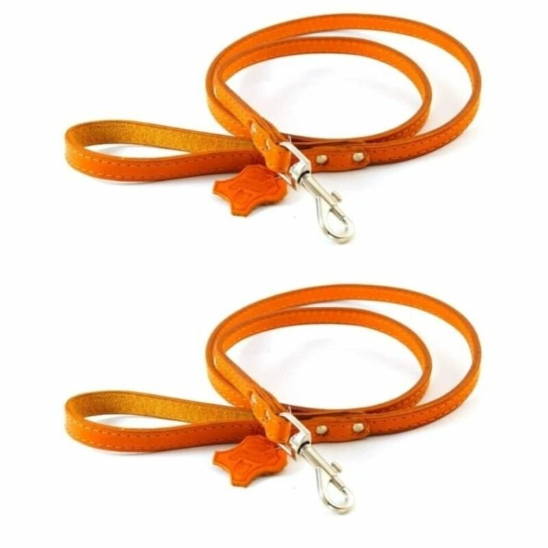 Зоомастер Поводок для собак прямой не строченый, 1 см х 120 см, 2шт