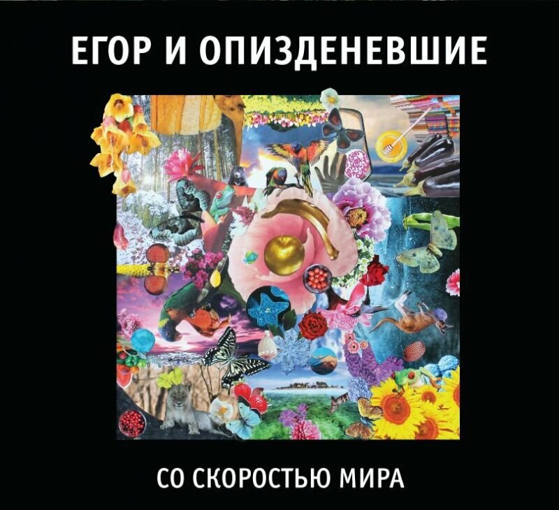 Егор И опизденевшие Со Скоростью Мира