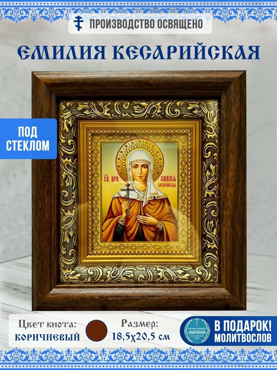 Икона Емилия (Эмилия) Кесарийская, Преподобная в киоте за стеклом 18,5х20,5см