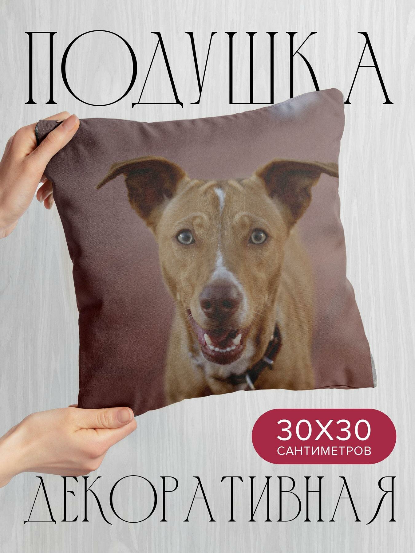 Подушка декоративная, 30x30см / Животные / гончая / собака
