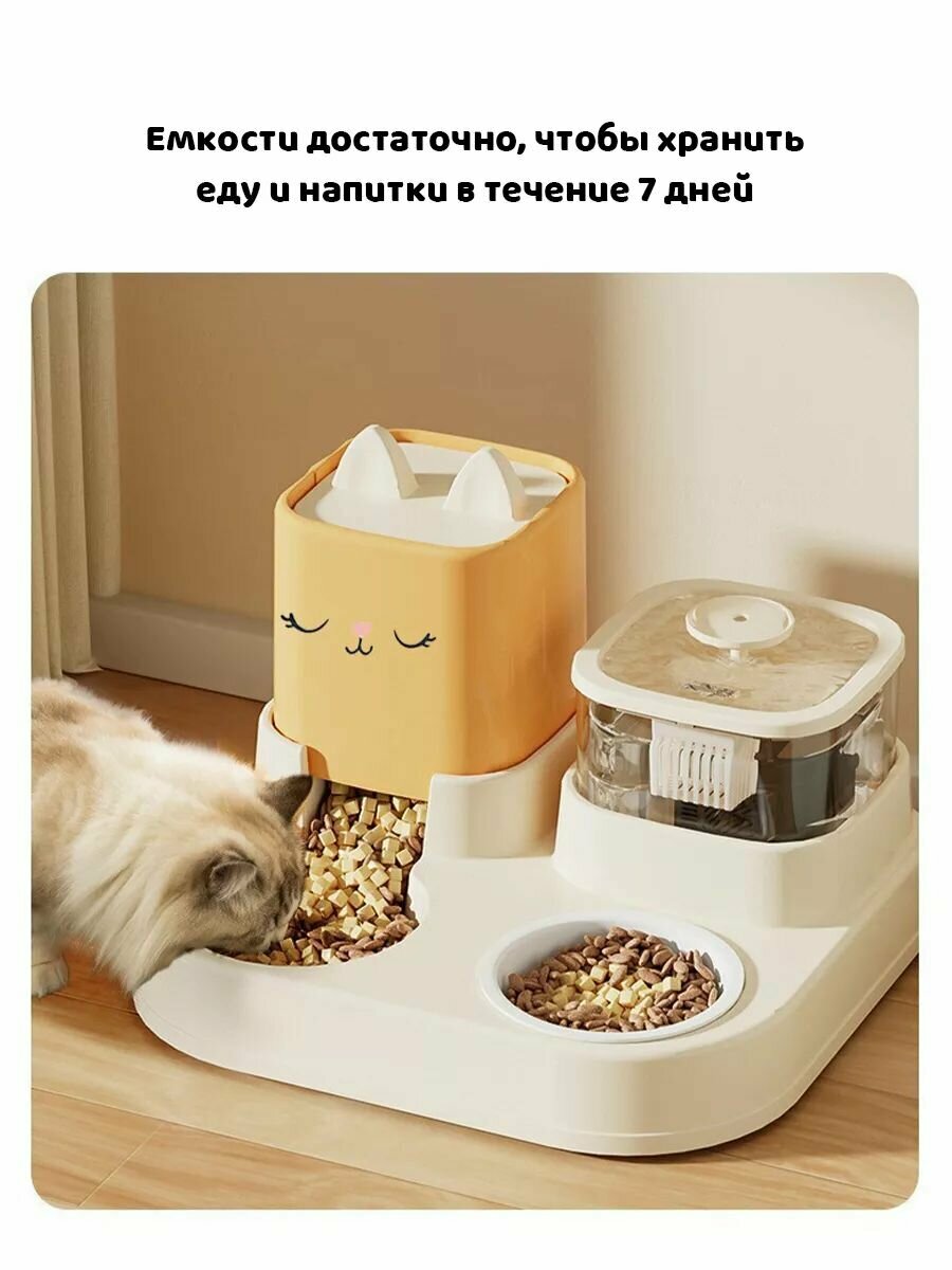 Автокормушка — фото 1