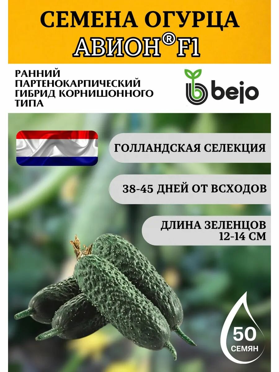 Семена огурца-корнишона Авион F1 50 штук для выращивания в теплицах