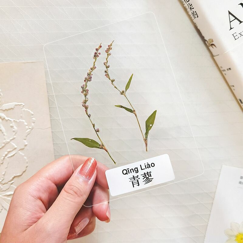 Настоящий четырехлистный клевер, амулет, приносит удачу, отгоняет невезение и сохраняет его сухим и постоянным.