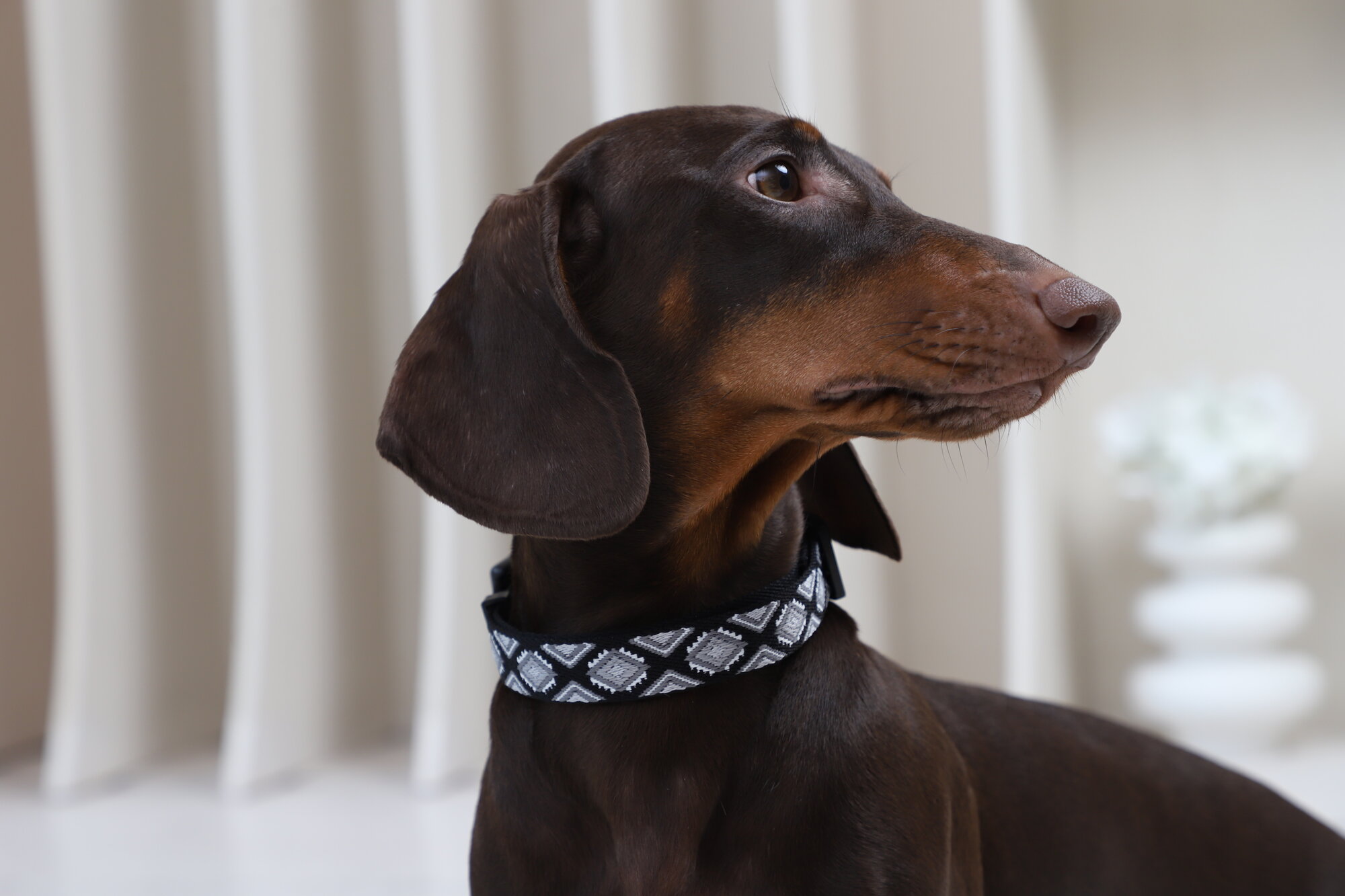 Ошейник для собак и кошек нейлоновый "Ромбы" S, черный, 1,5*27-37см, Triol