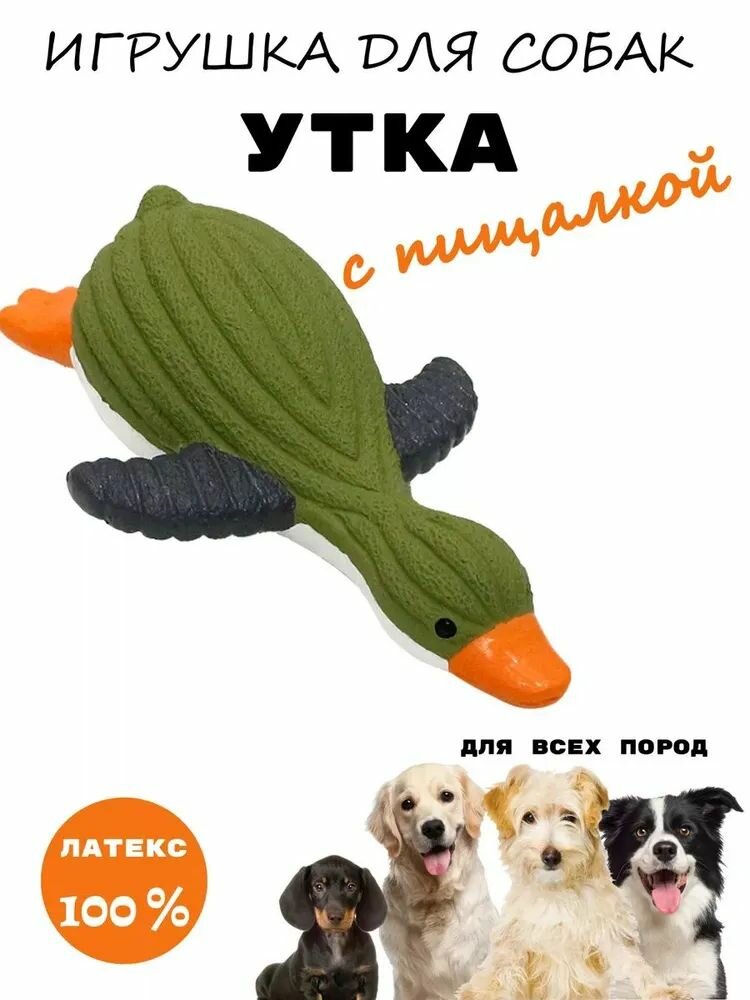 Игрушка для собак средних пород утка