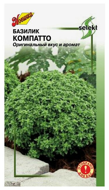 Семена базилика Компатто - ароматный сорт с ярким вкусом для дома и огорода, Дом Семян