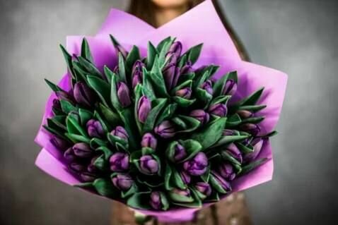Огромный букет из 51 фиолетового тюльпана